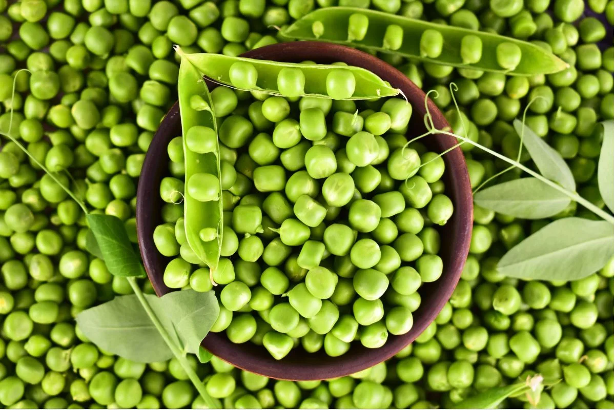 Green Peas: Nutritional Benefits