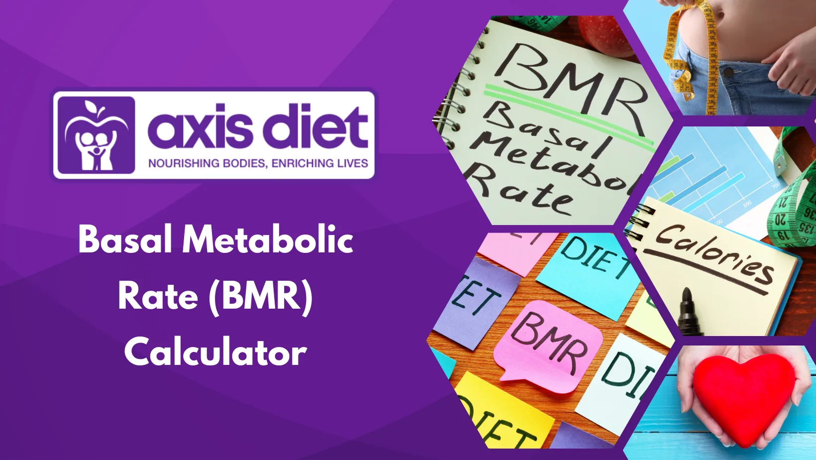 BMR Calculator (Basal Metabolic Rate)